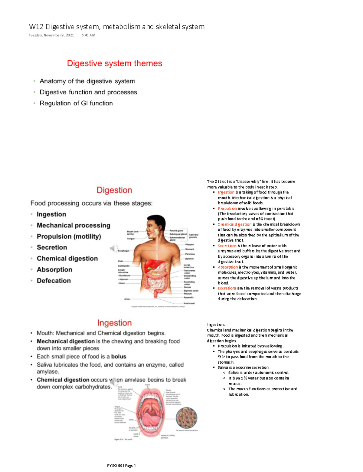 W12 Digestive System & Metabolism: Key Concepts & Functions Summary ...