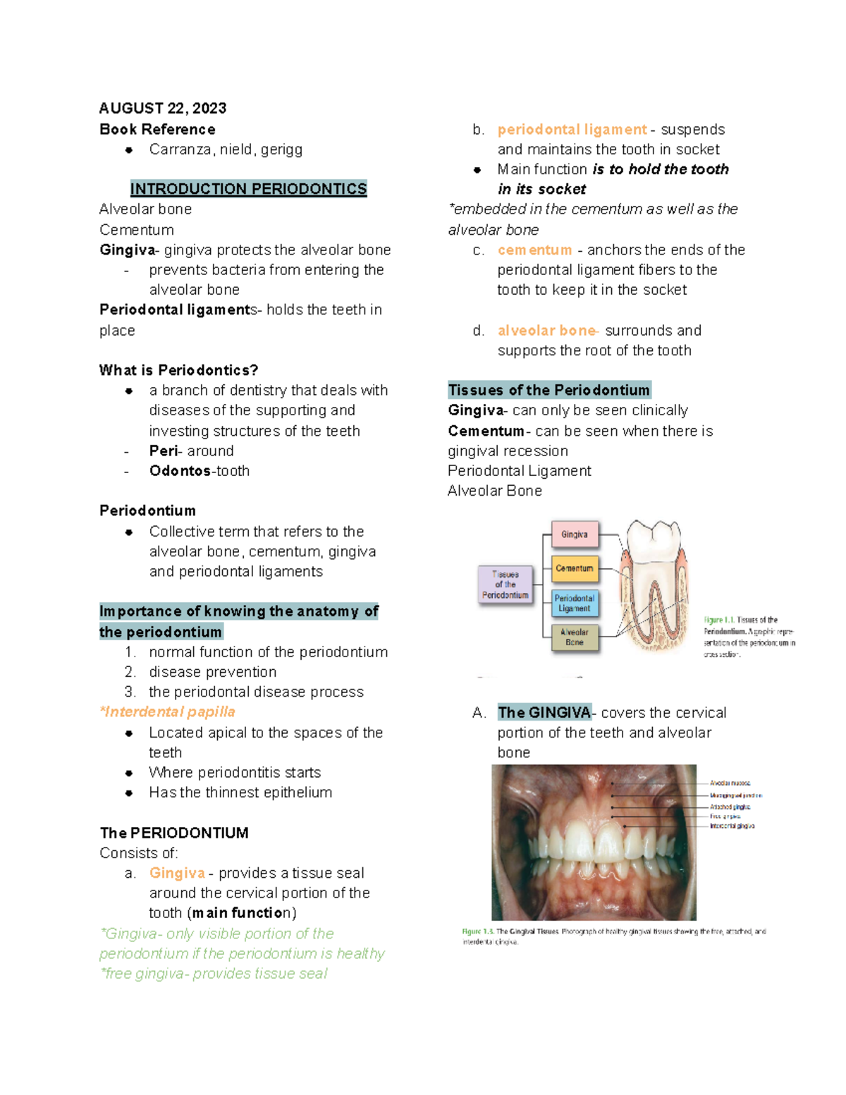 Periodontics 101: Comprehensive Perio Notes for Midterm Study - Studocu