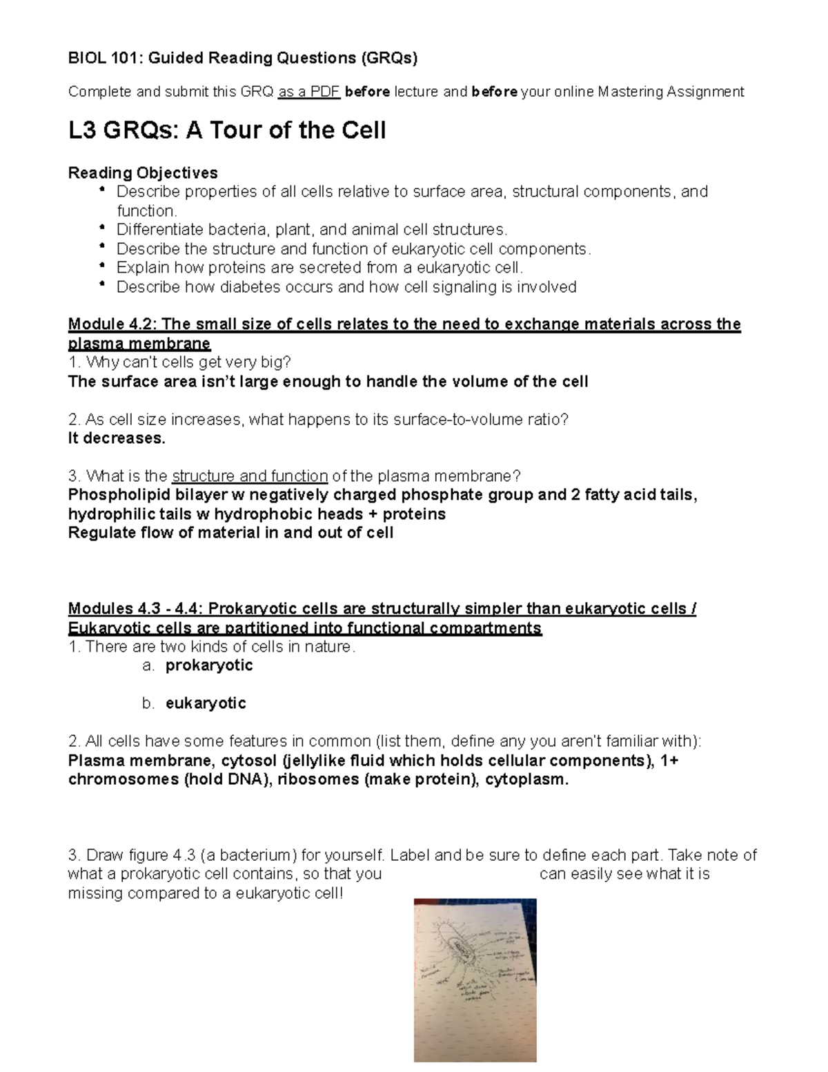 BIOL 101: Lesson 3 GRQs - A Tour of the Cell Overview - Studocu