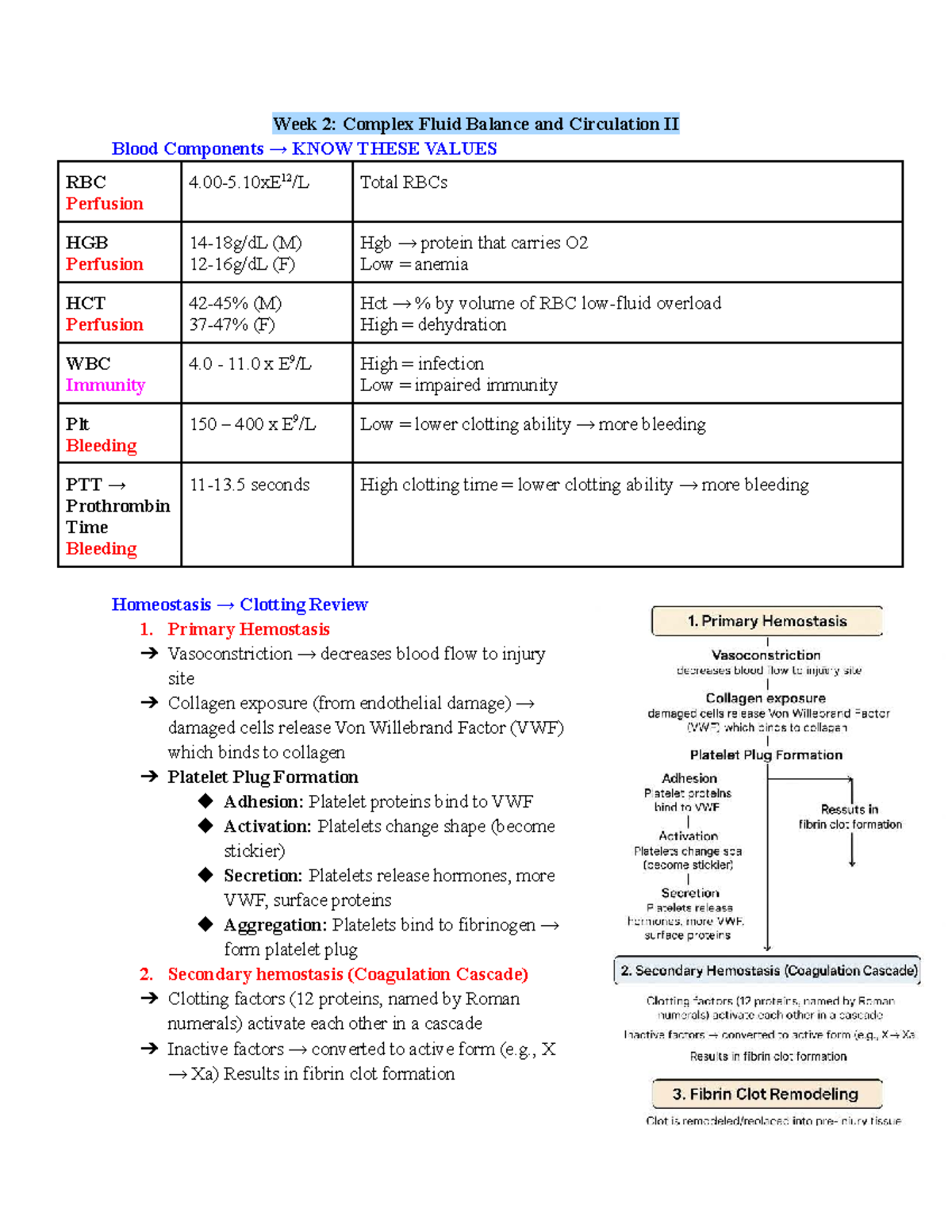 N3630 Week 2: Complex Fluid Balance & Blood Components Overview - Studocu