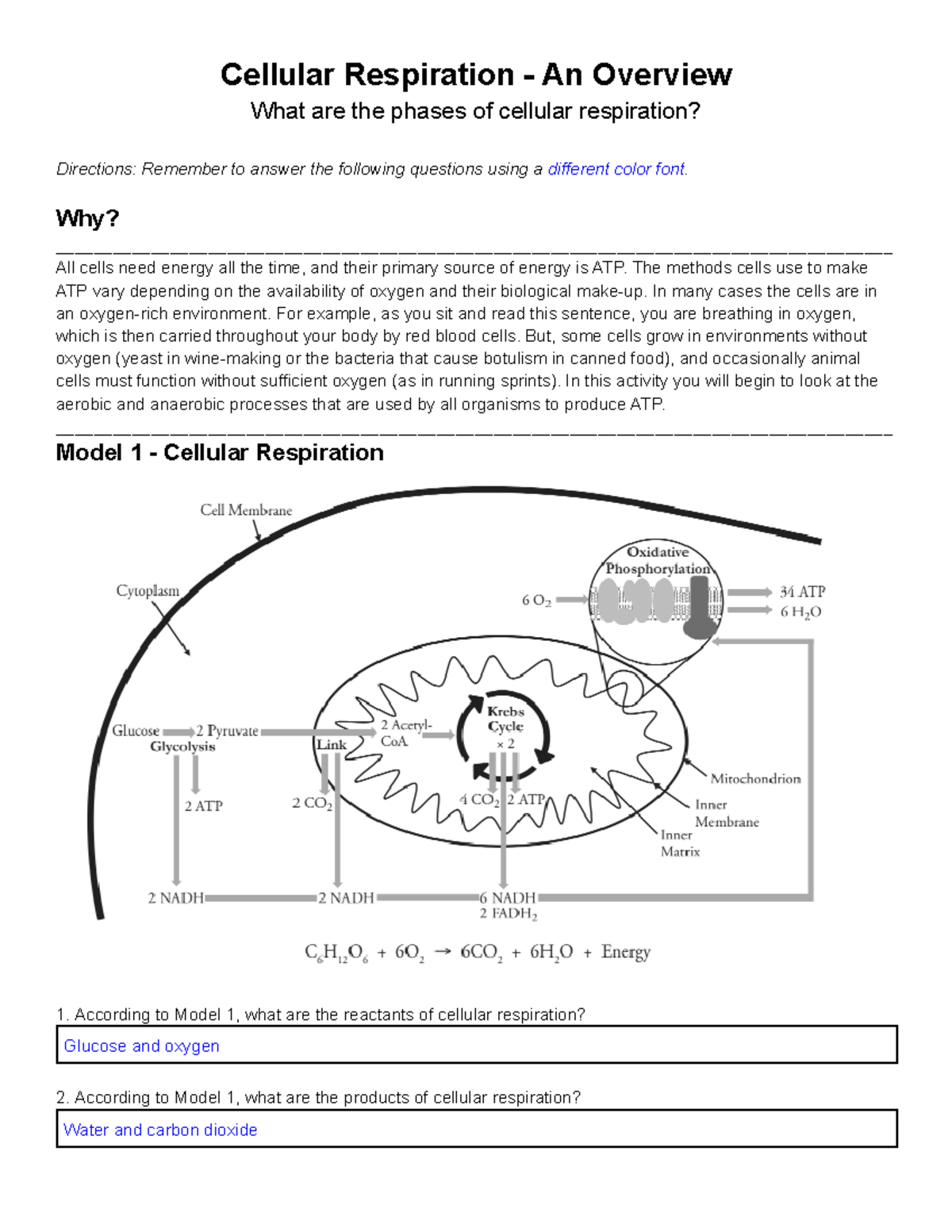 8 Cellular Respiration - An Overview - Why? - Studocu
