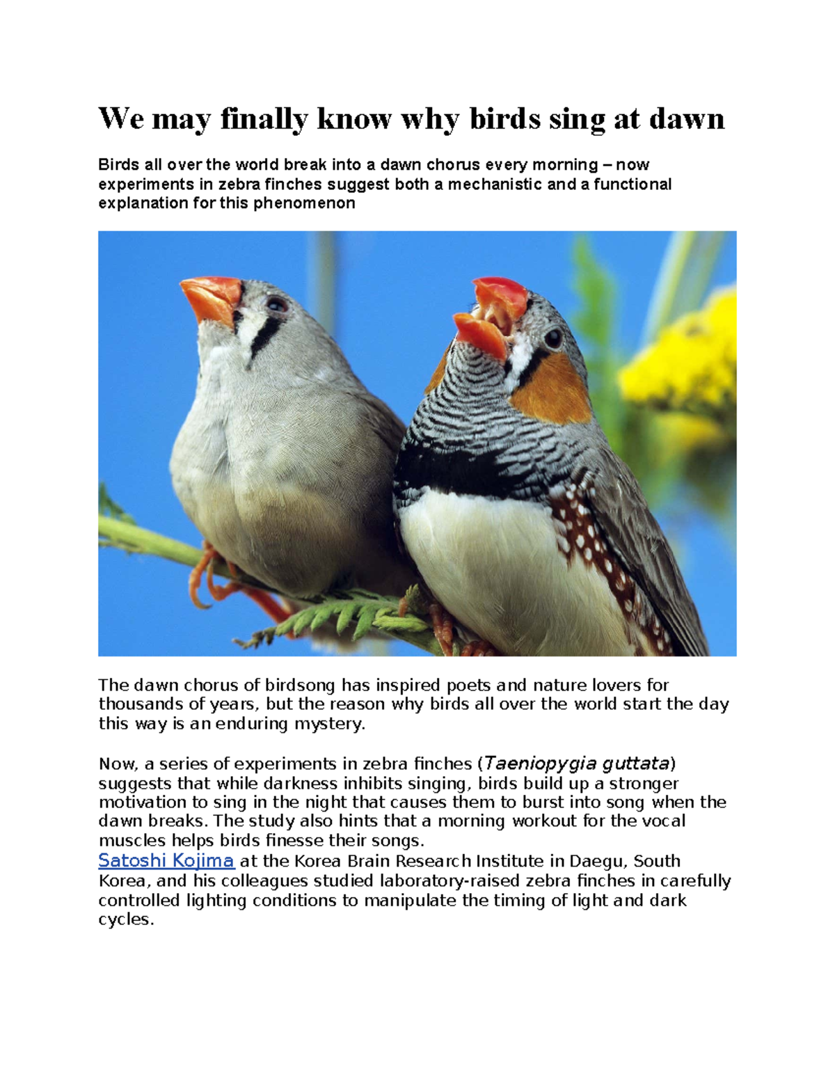 Understanding the Dawn Chorus: Insights from Zebra Finches - Studocu
