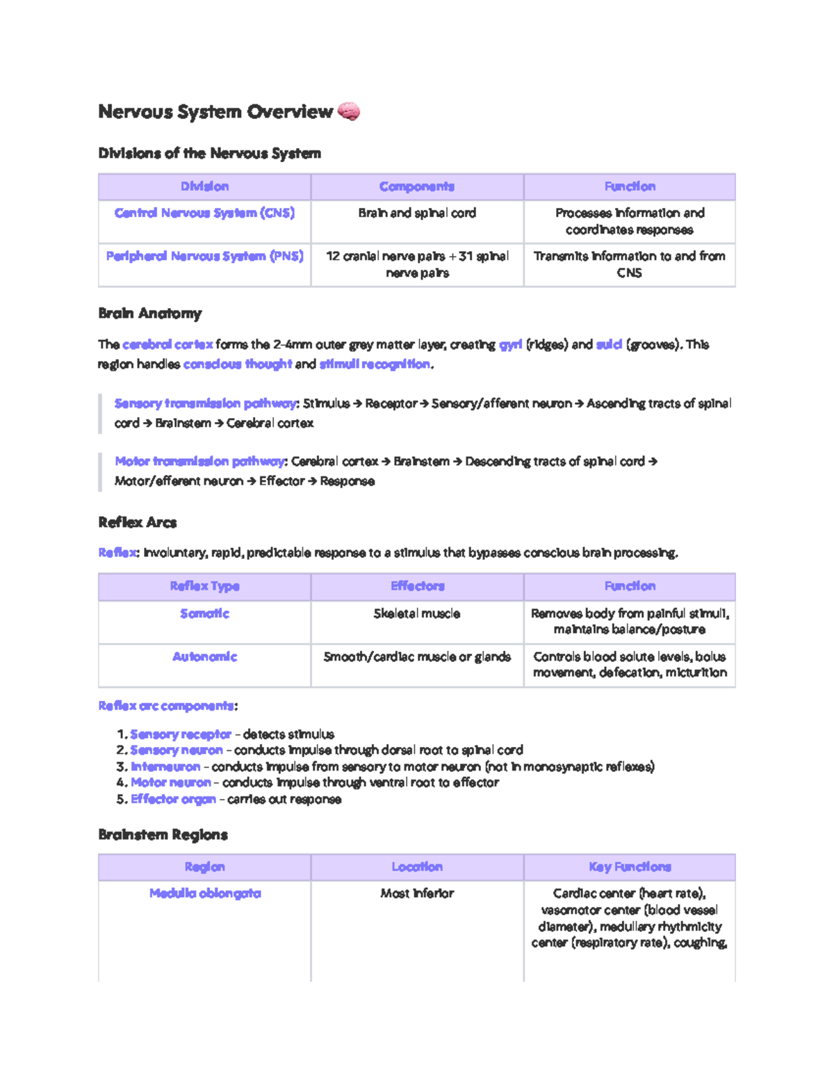 Nervous System Overview: CNS, PNS, and Key Functions (BIO 101) - Studocu