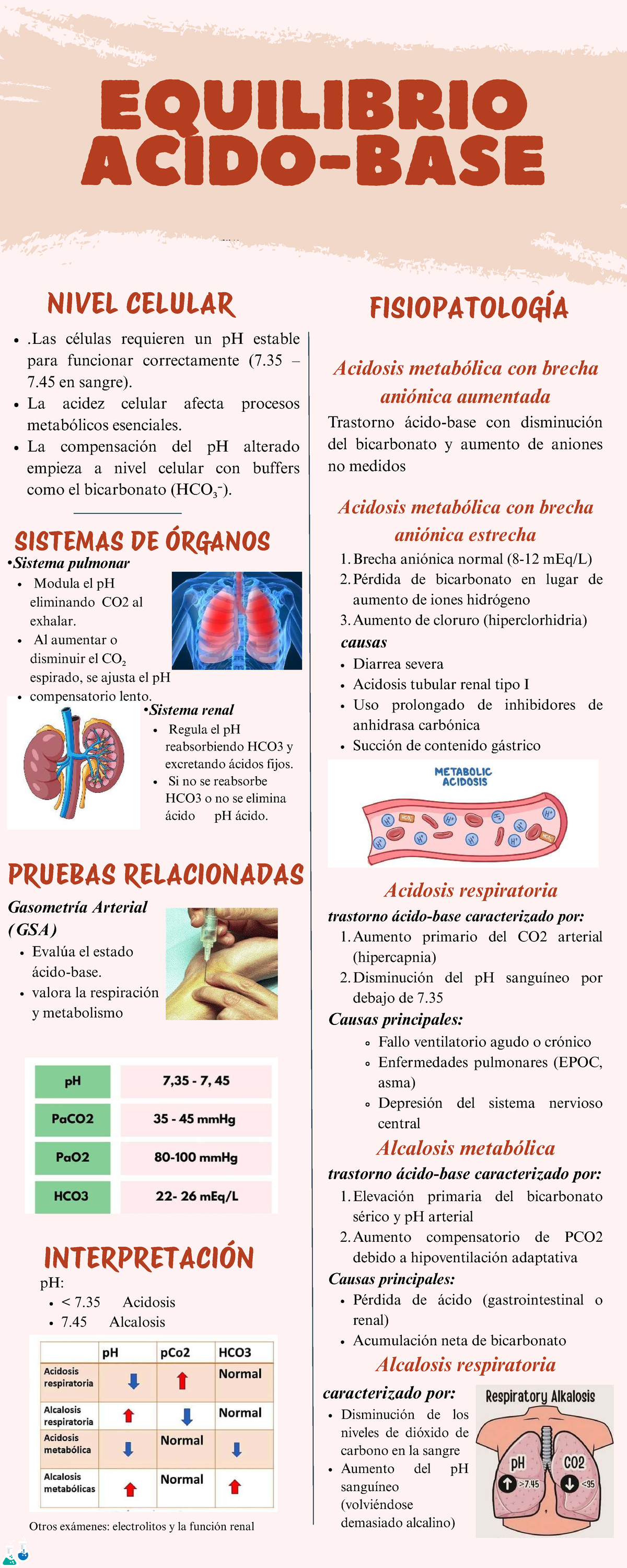 Infografia semana 3 - importante - EQUILIBRIO ACIDO-BASE NIVEL CELULAR SISTEMAS DE ÓRGANOS ...