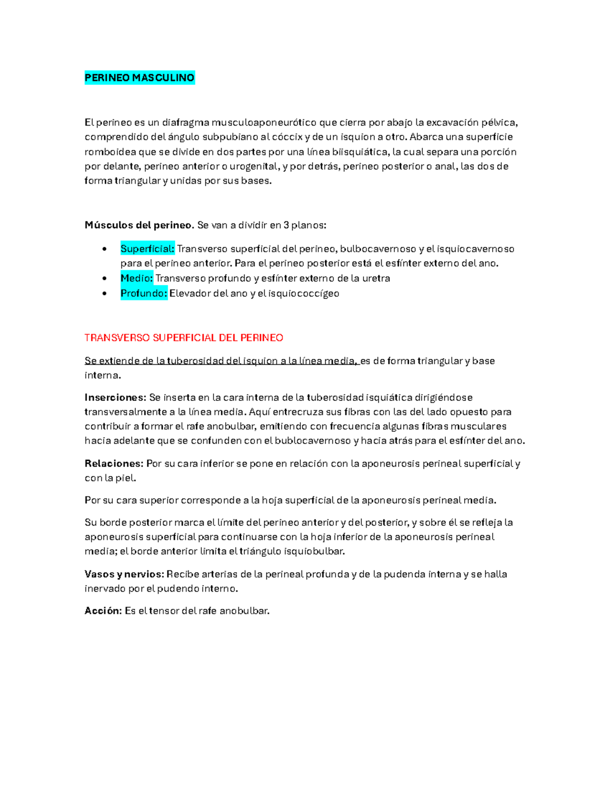 Estudio sobre el Perineo Masculino: Anatomía y Funciones - Studocu