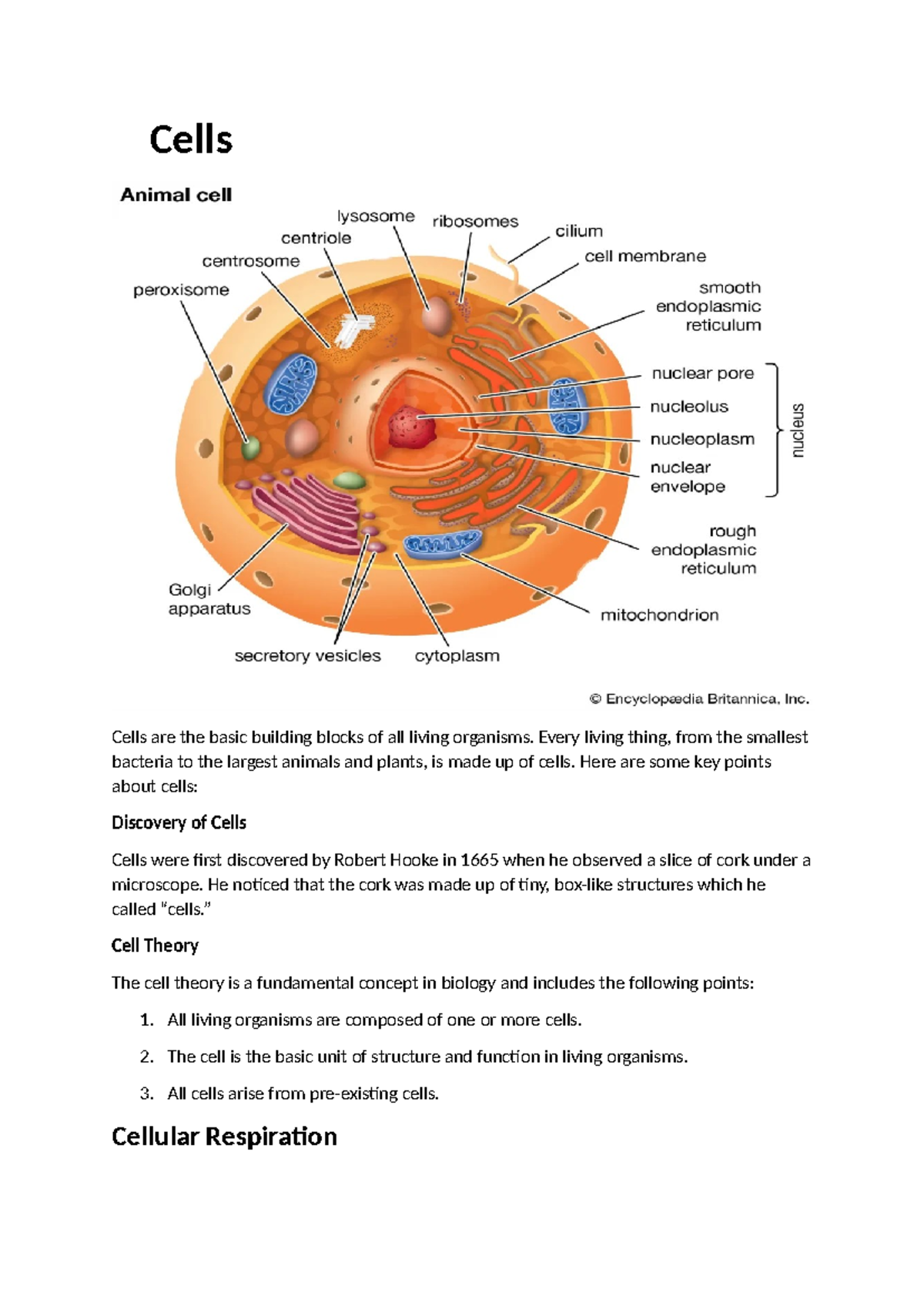 Cells: Key Concepts and Functions for Class 9 Biology - Studocu