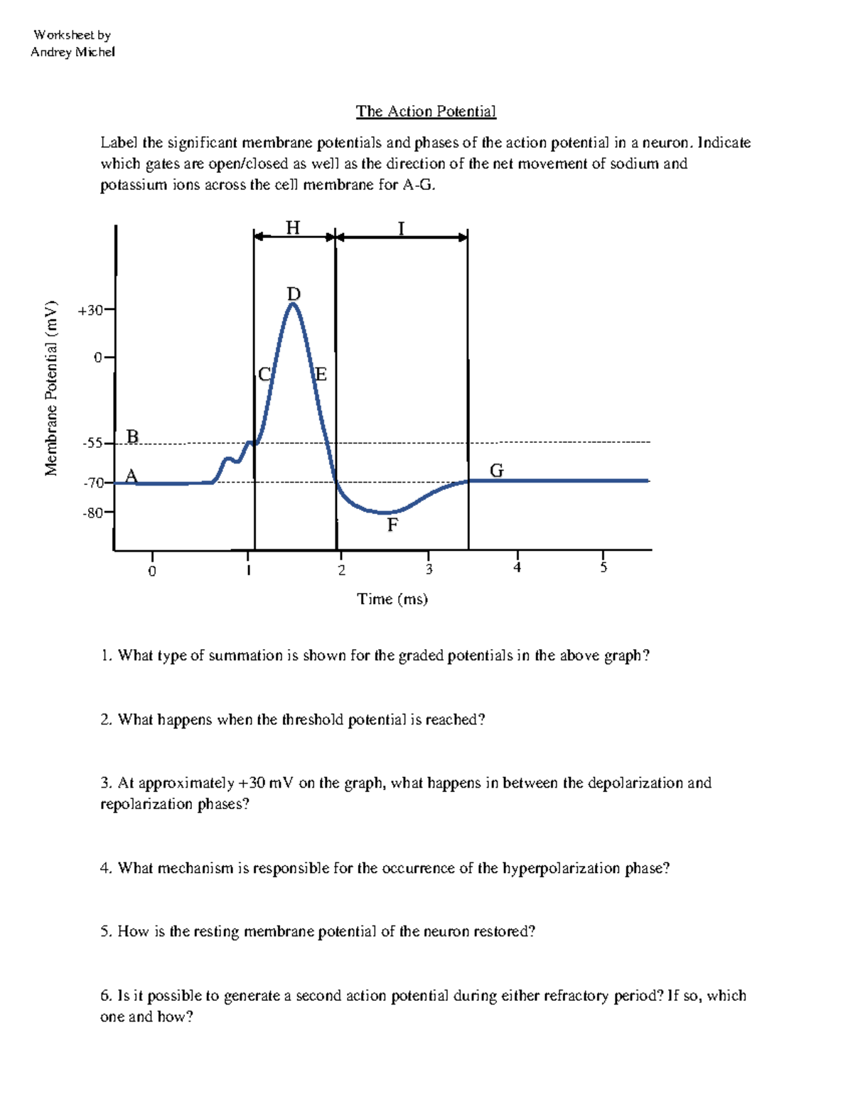 Action Potential Physiology Worksheet (Biology 101) - Studocu