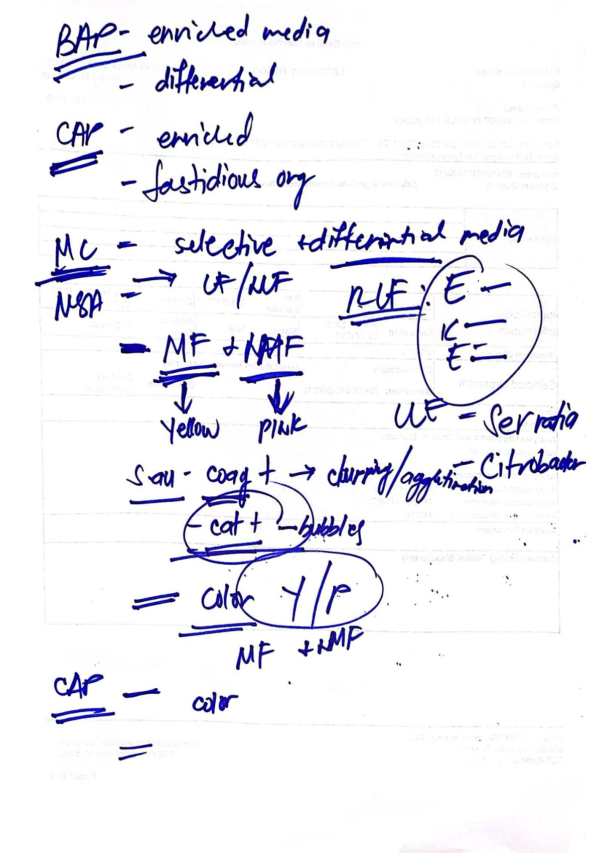 Selective Media Analysis for Microbial Growth: CAP & NSA Techniques ...