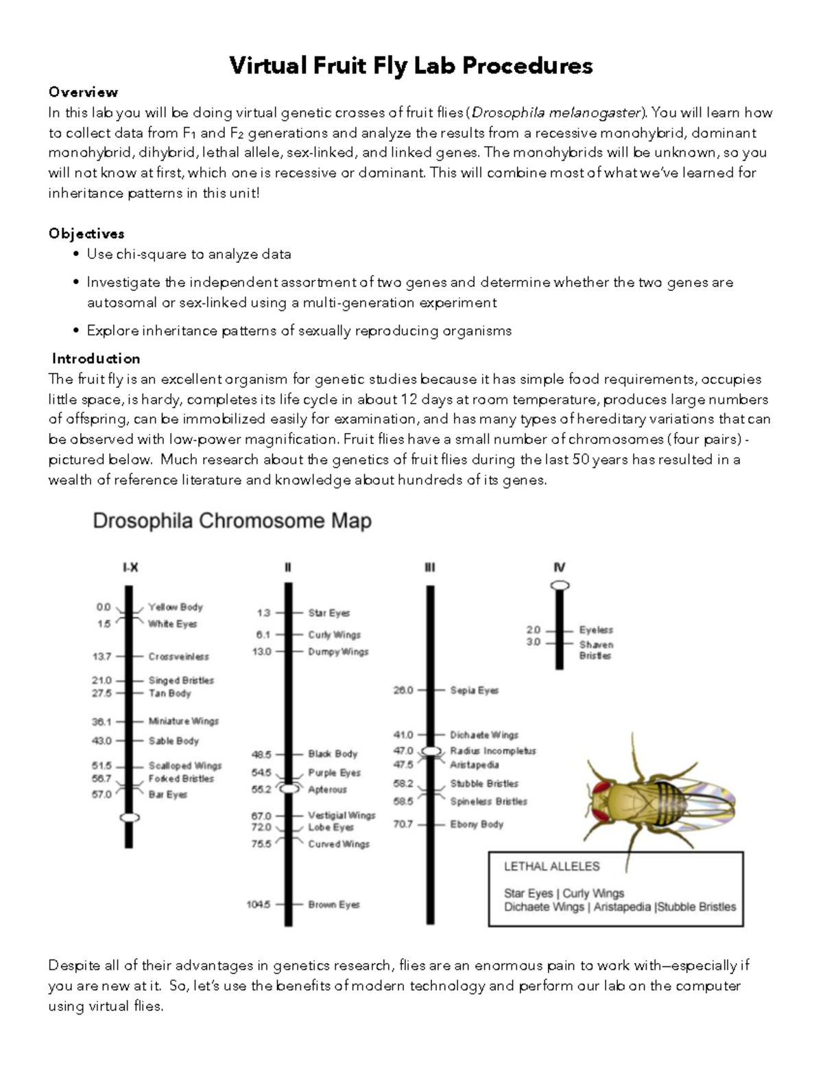 Virtual Fruit Fly Lab Directions-1 - Virtual Fruit Fly Lab Procedures ...