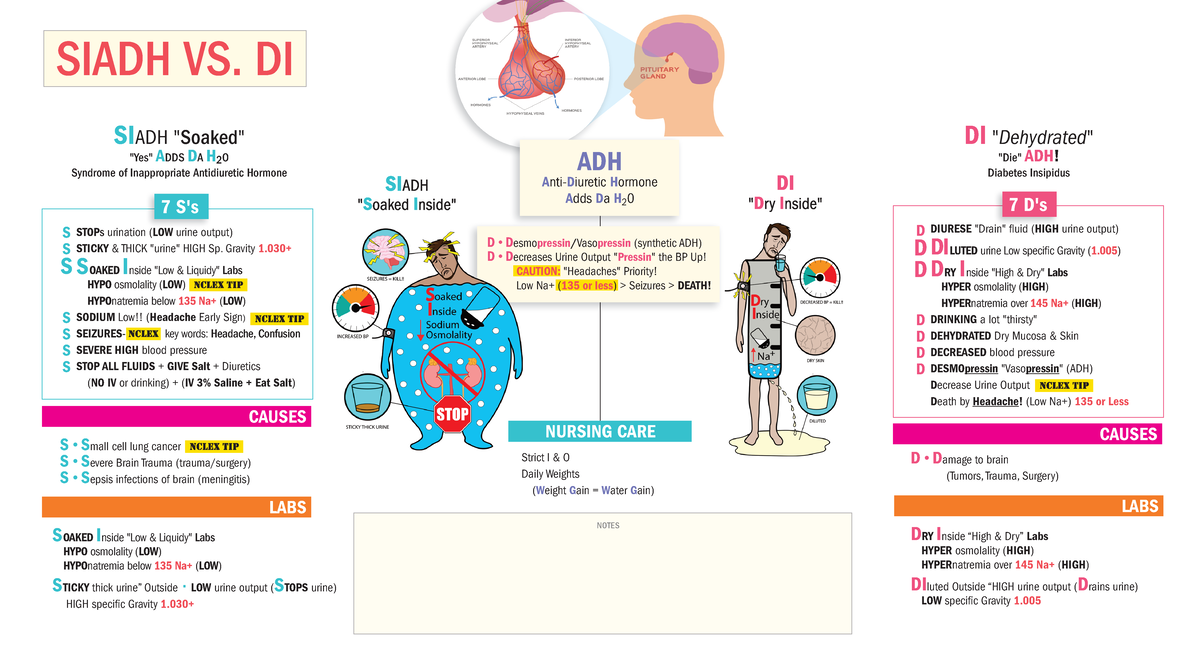 Endocrine Study Notes: SIADH vs. DI Comparison (NUR 101) - Studocu