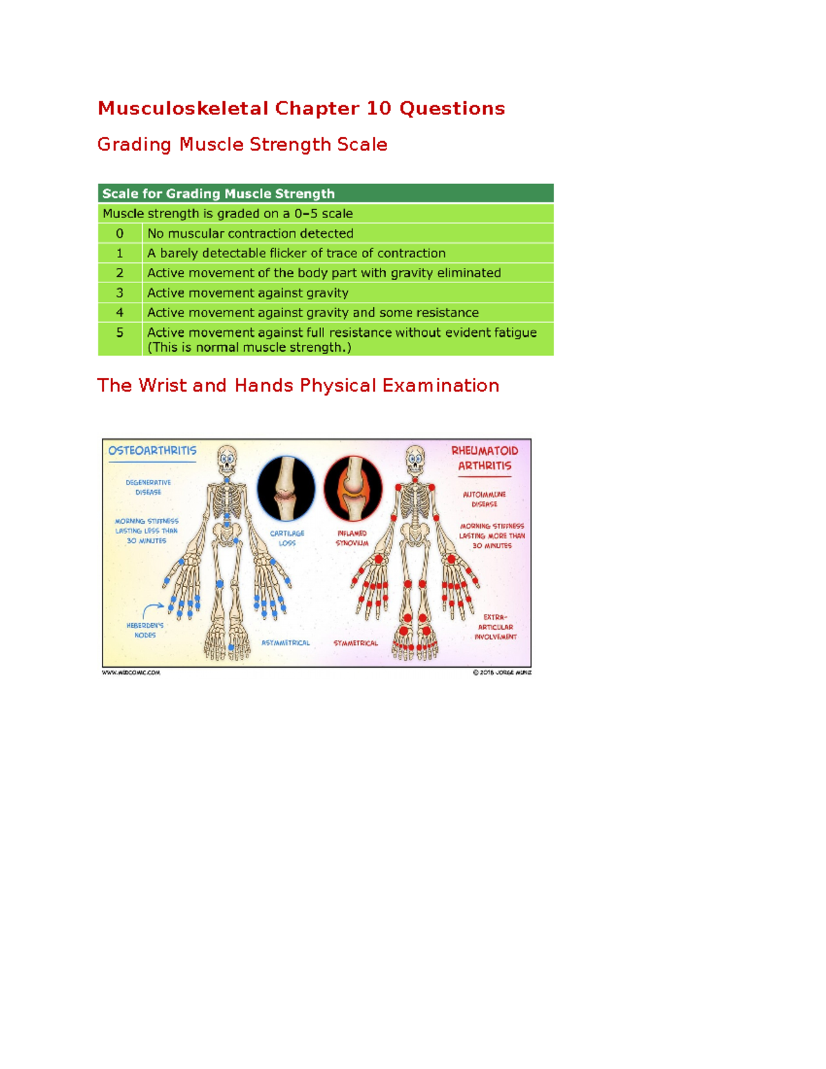 Assessment 3 - Musculoskeletal Chapter 10 Questions Grading Muscle ...