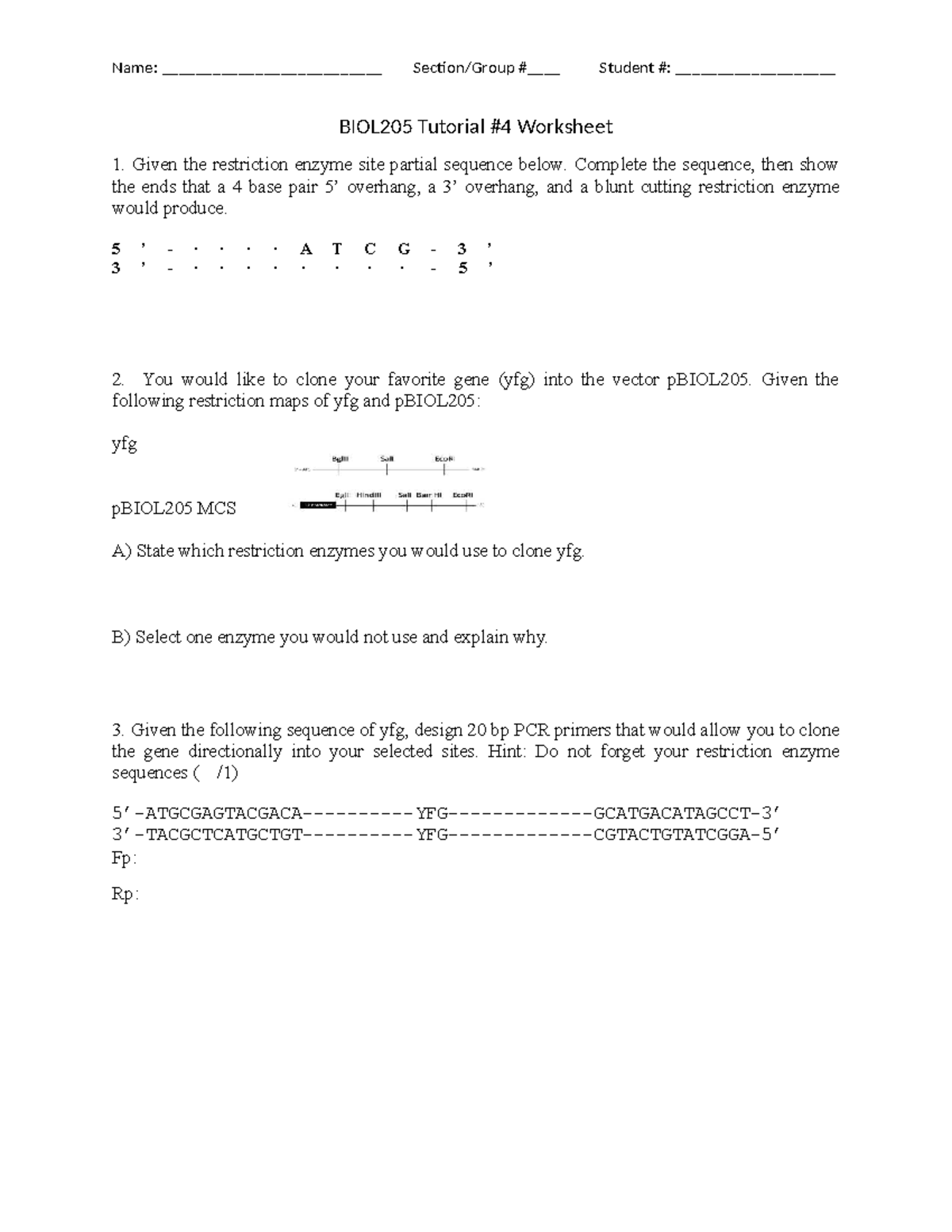 BIOL205 Tutorial Worksheet 1: Cloning and Restriction Enzymes - Studocu