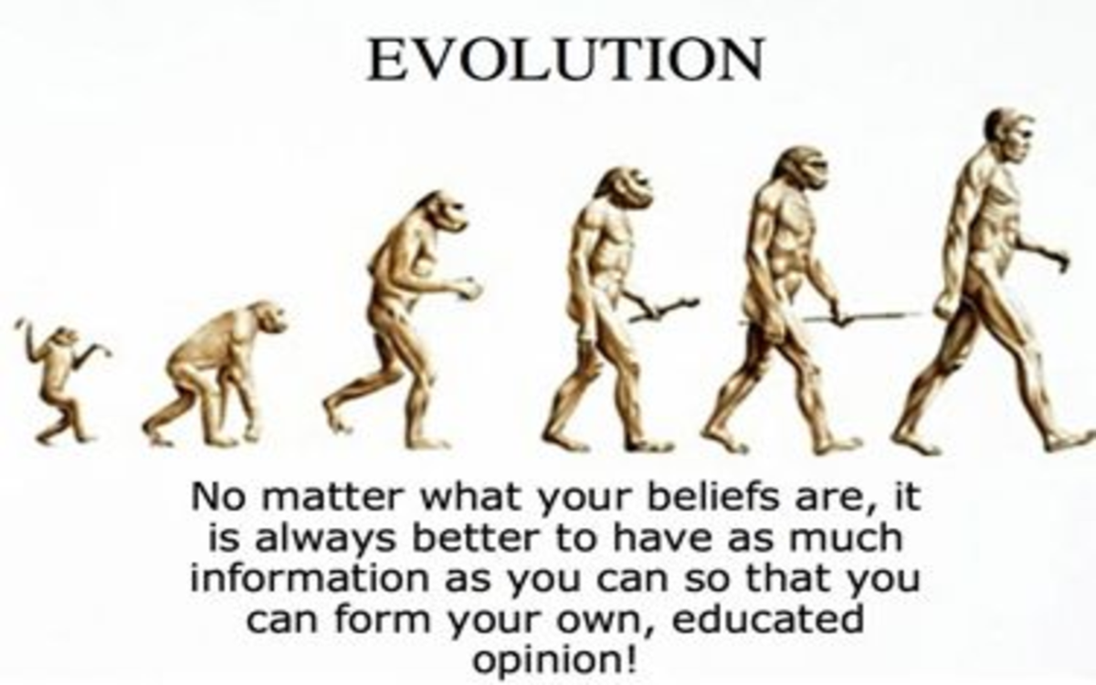 Evolution: Key Concepts and Theories - Studocu