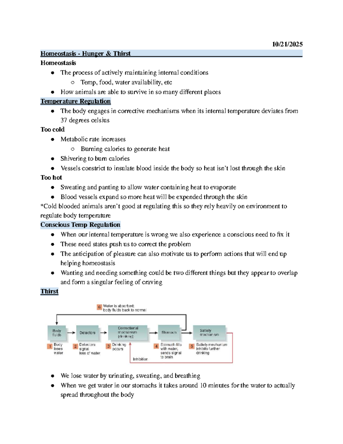 PSYC211 - Homeostasis: Understanding Hunger and Thirst Mechanisms - Studocu