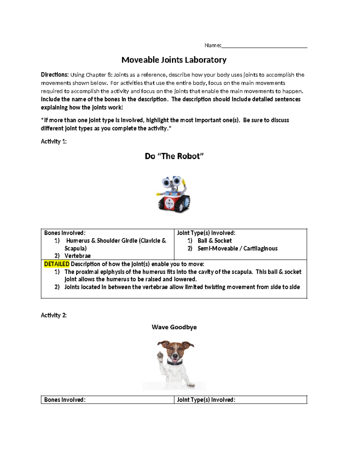 Moveable Joints Laboratory Virtual Edit - Name: Moveable Joints ...