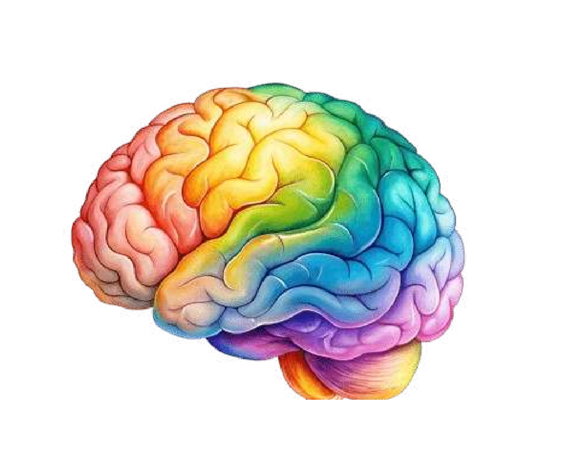 Brain for box - hi ok - Co 1 Quarter 1 - CNHS - Studocu
