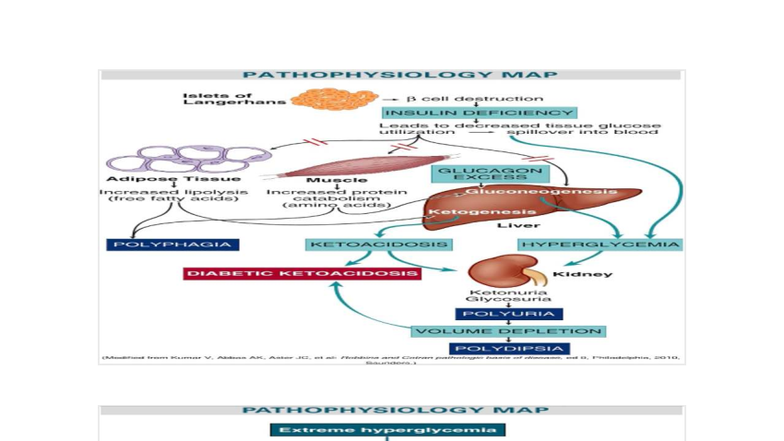 PATHOPHYSIOLOGY MAP: DKA and HHS Diagrams and Fill-in-the-Blank - Studocu