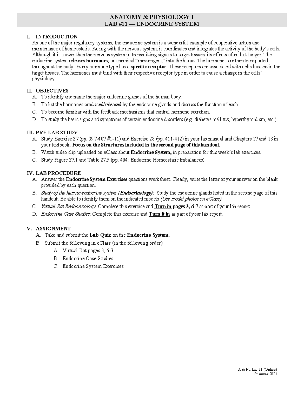 A & P I Lab 11: Endocrine System Exploration and Exercises - Studocu
