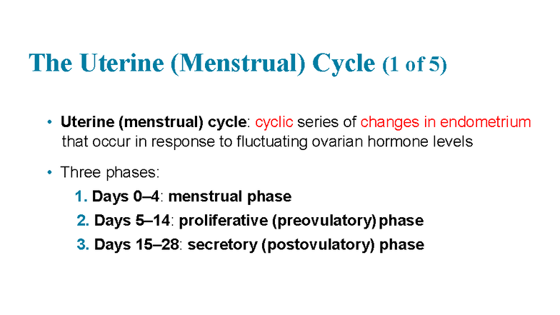 Uterine Cycle Overview: Phases and Hormonal Interactions (BIO 101 ...