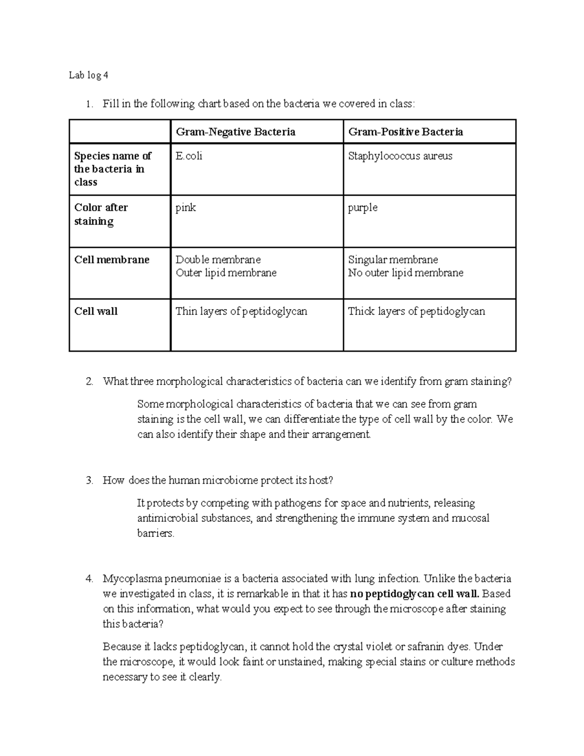 Lab Log 4: Bacterial Morphology & Gram Staining Analysis - Studocu