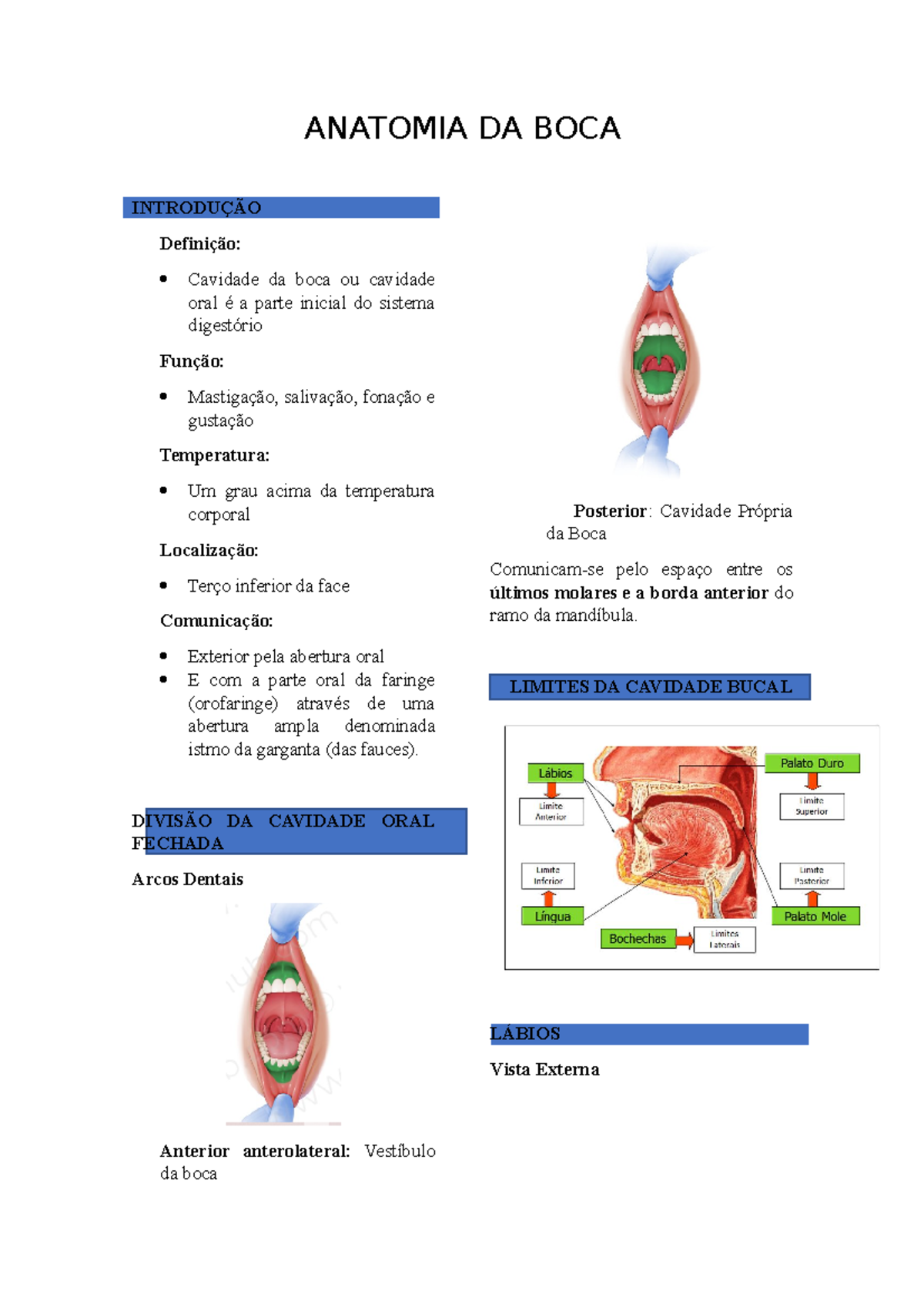 Vestibulo Da Cavidade Oral Definición De Cavidad Oral Diccionario