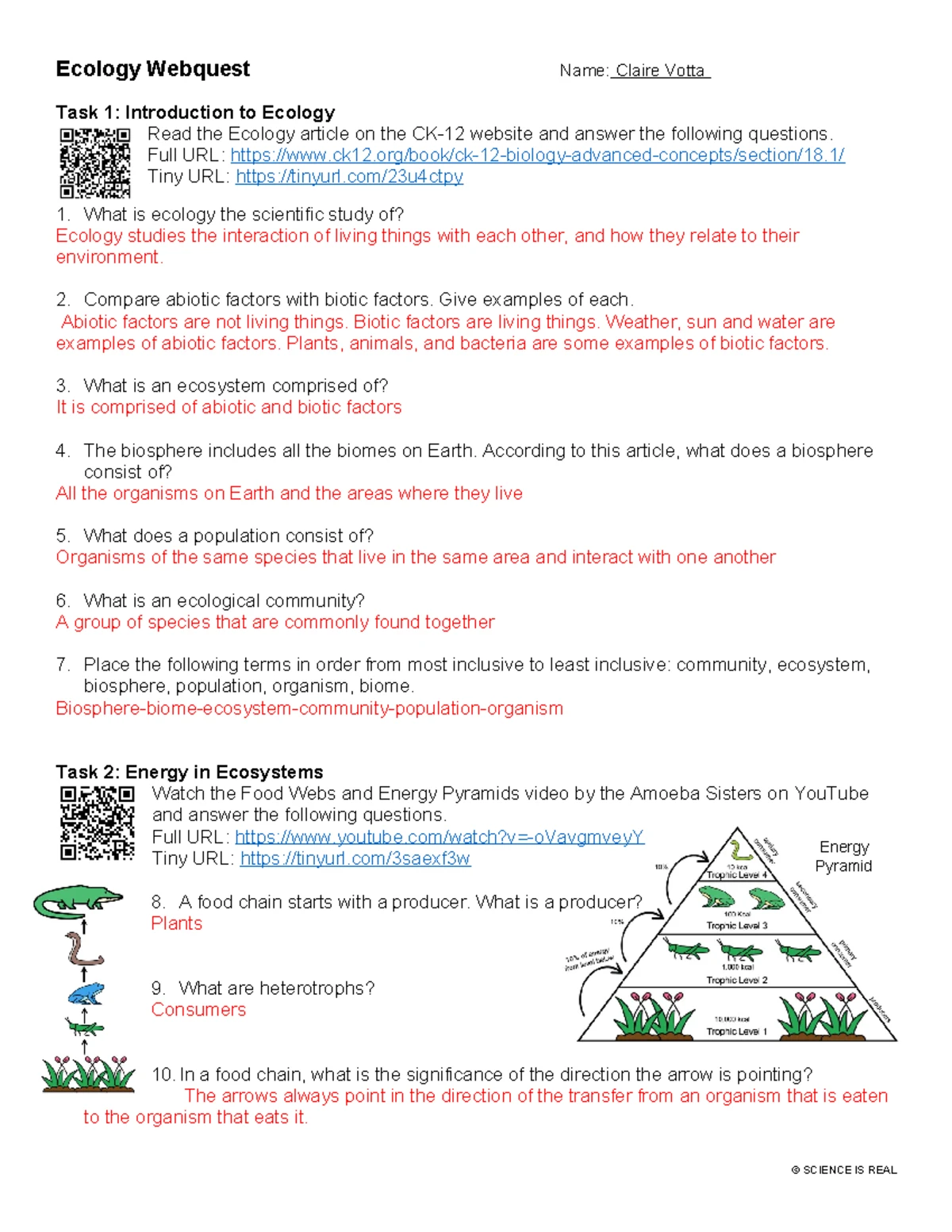 QTR 3 - Comprehensive Plagiarism Review and Worksheet Activities - Studocu