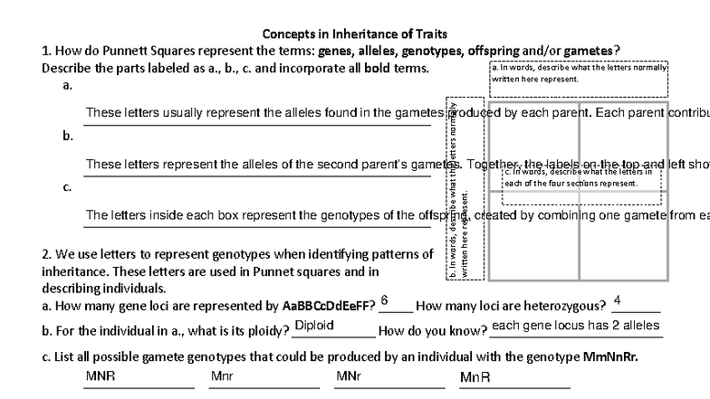 Inheritance Practice-2: Understanding Punnett Squares and Genotypes ...