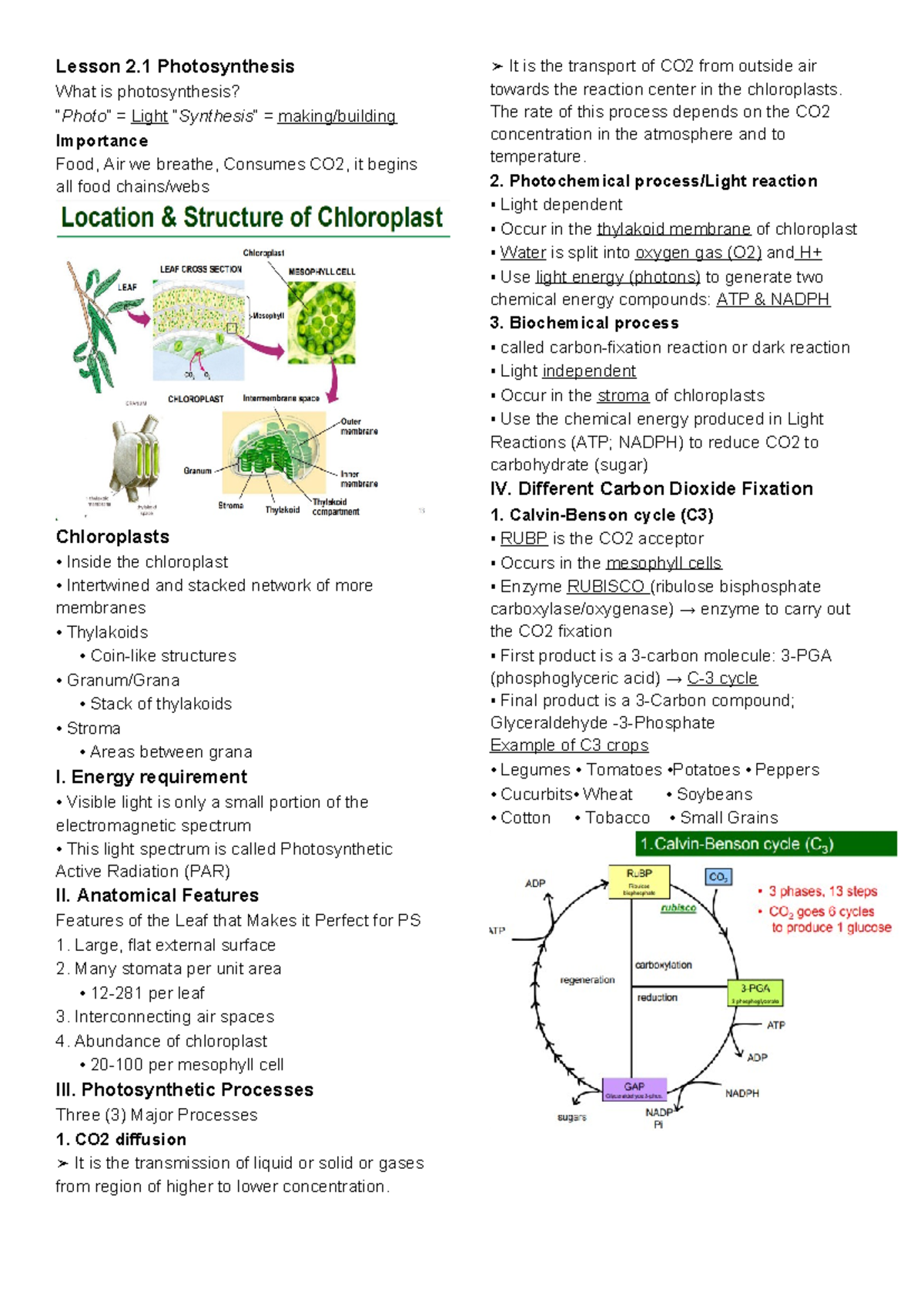 Photosynthesis Lesson 2.1 - Lesson 2 Photosynthesis What is ...