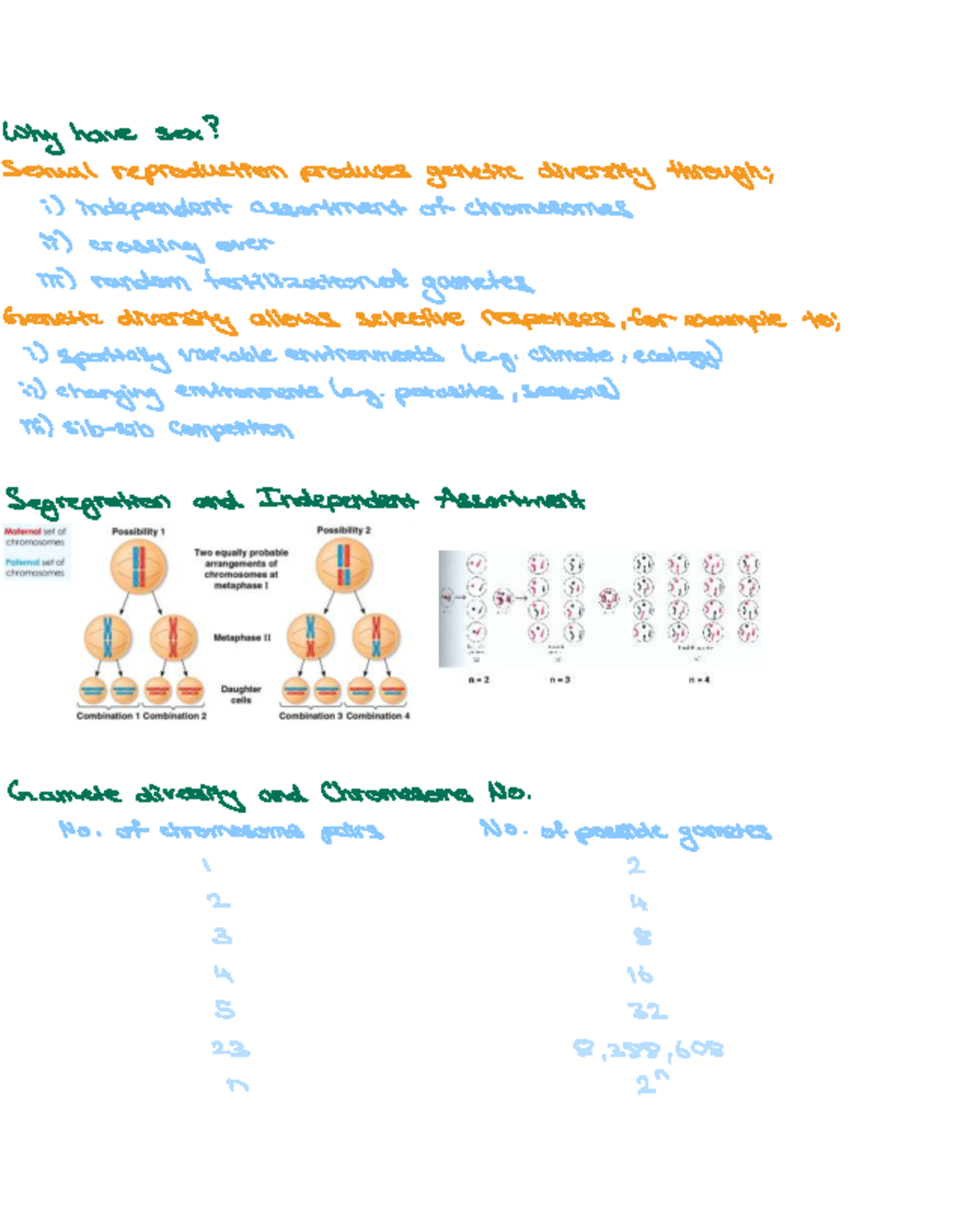 MOD 2; Molecular Biology & Genetics - Why have sex ? Sexual ...