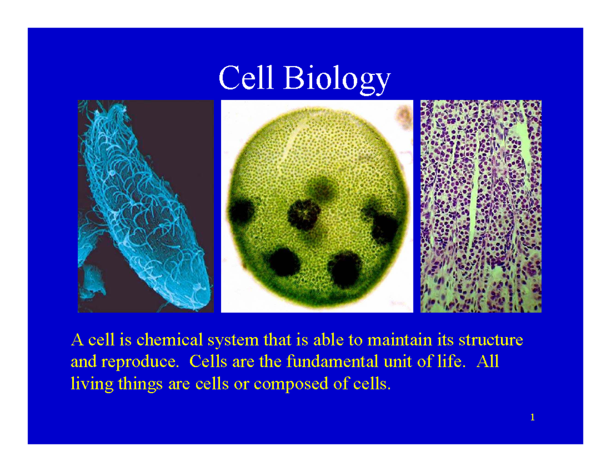 Cell Biology - Histology Overview and Cell Structure Insights - Studocu