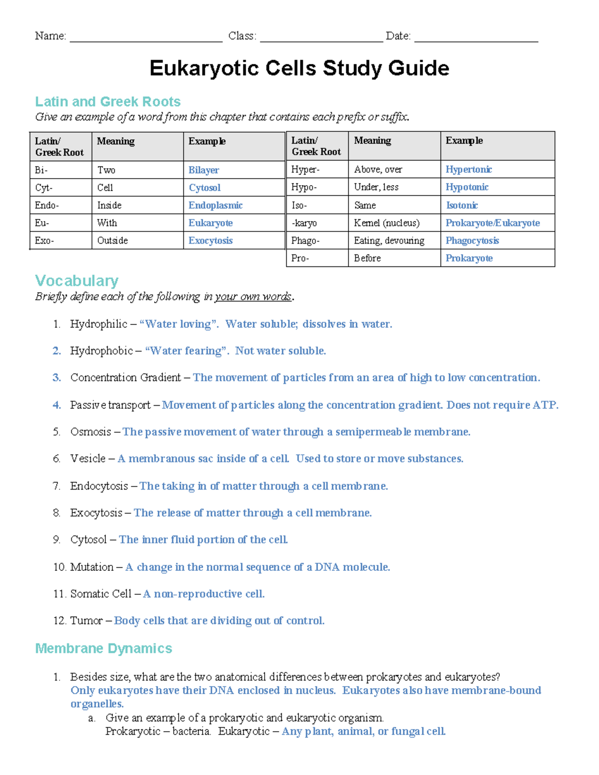 Eukaryotic Cell Structure and Function Study Guide KEY - Name