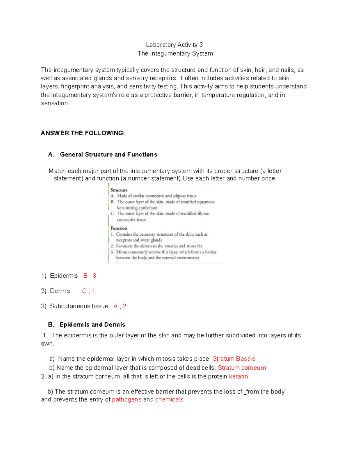 LAB Notes - Activity 3 & 4: Integumentary & Musculoskeletal Systems ...