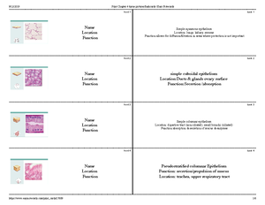 Human Anatomy and Physiology I - Lab Practical 1 Material 1 - - Studocu