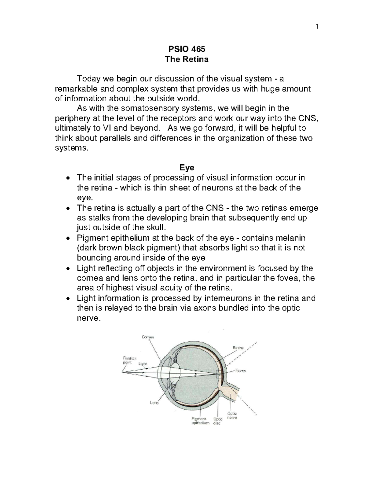 Vision - The retina: PSIO 465 lecture notes on photoreceptors and ...