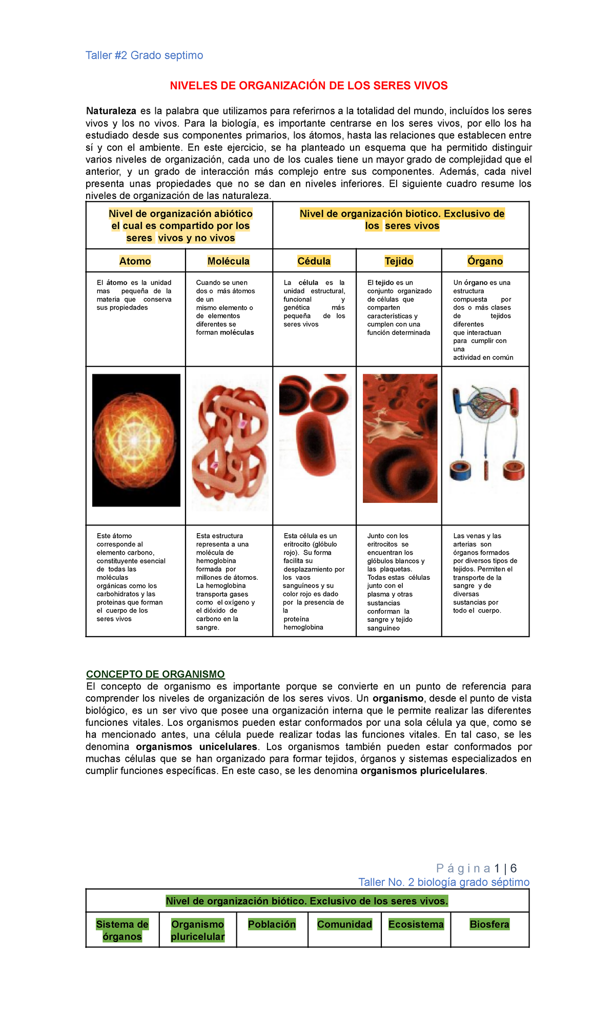 Taller #2: Niveles de Organización de los Seres Vivos - Grado 7 - Studocu