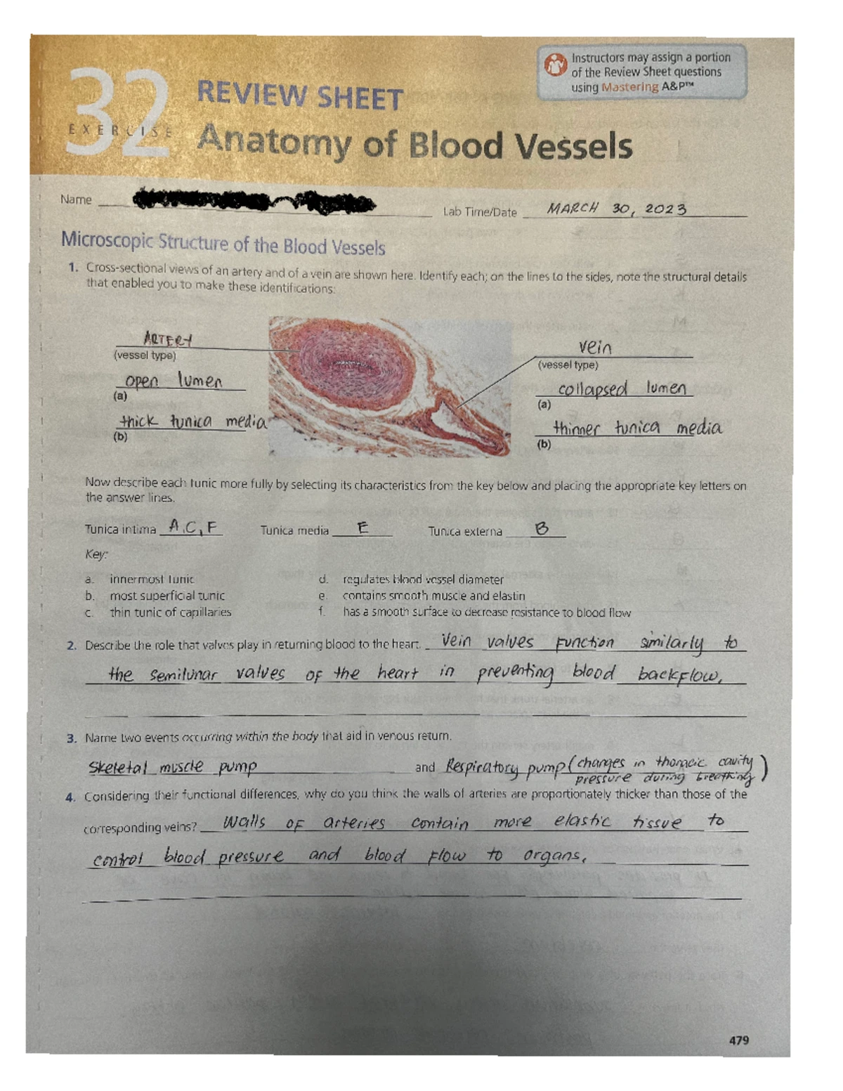 Emergency Nursing: Key Concepts and Patient Management Strategies - Studocu