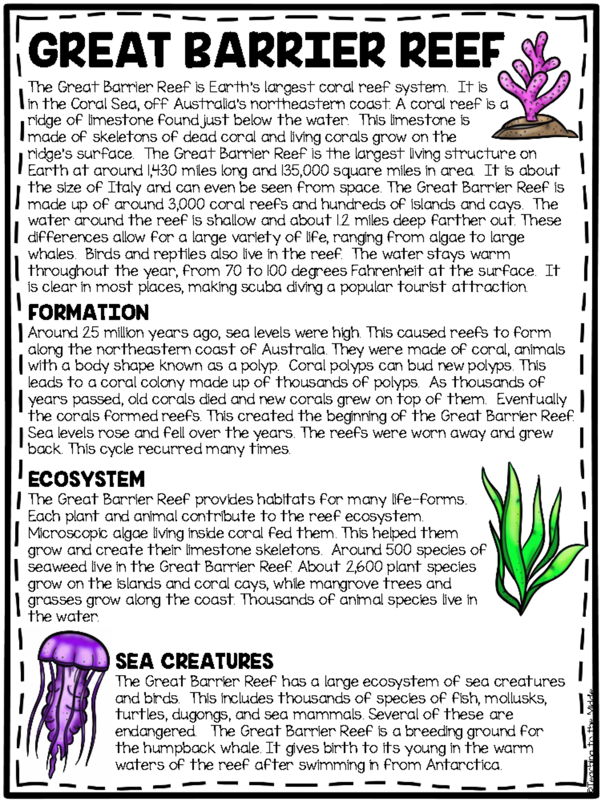 Great Barrier Reef: Ecosystems, Threats, and Conservation Efforts (BIO ...