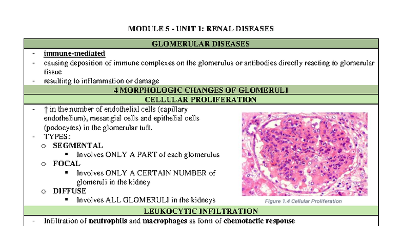 MODULE 5 UNIT 1: RENAL DISEASES AND GLomerular Disorders Overview - Studocu