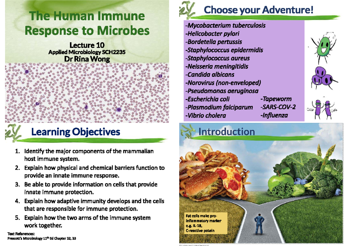 2024 SCH2235 Lecture 10: Human Immune Response to Microbes Overview ...
