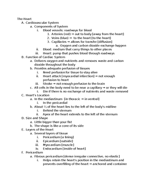 The Heart - Anatomy AP2 lab manual - AP 1 Lab: The Human Heart: Anatomy ...