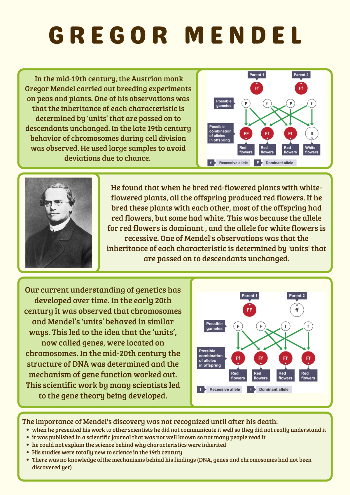 Gregor Mendel: Foundations of Genetics and Inheritance Mechanisms - Studocu