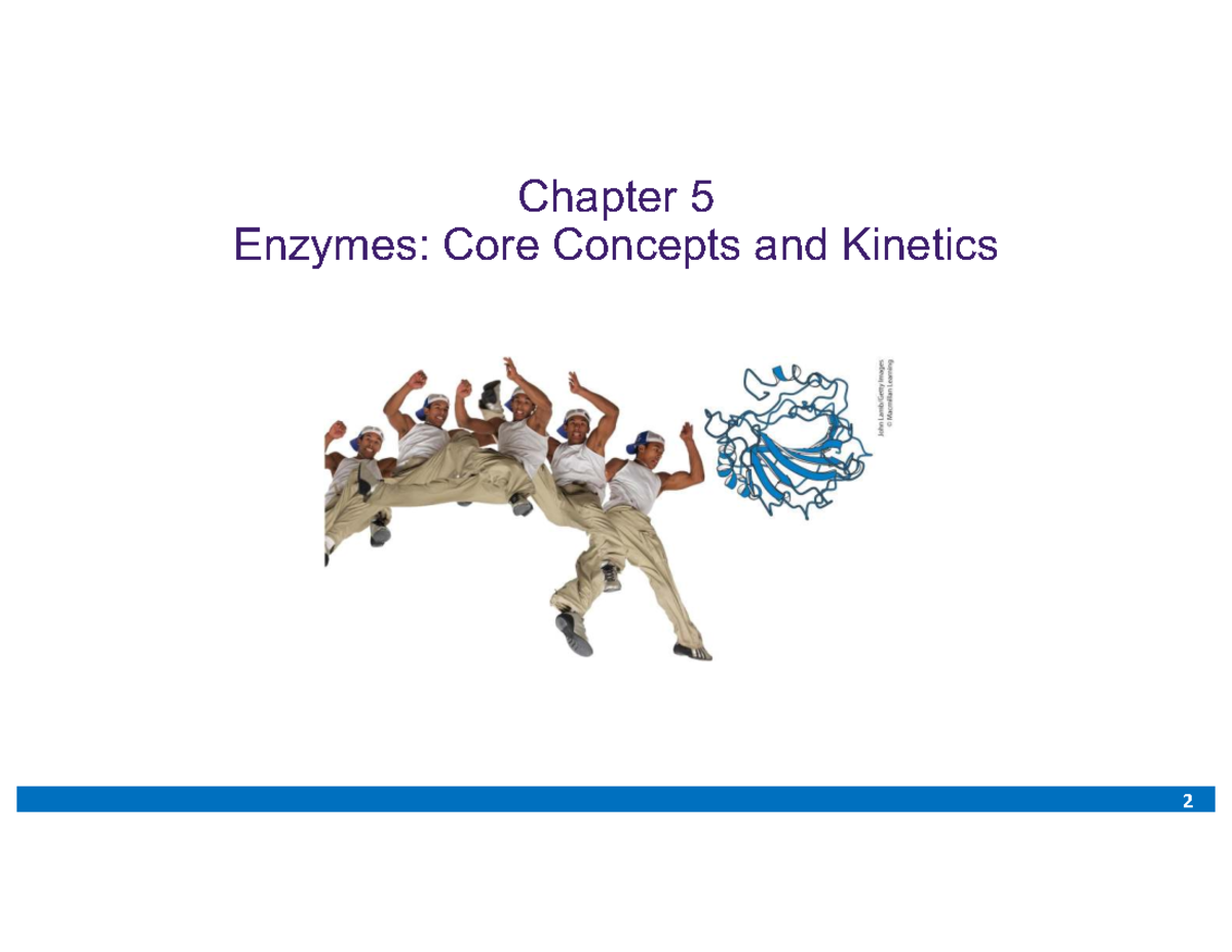 CHEM317 Final Exam Review: Enzymes, Catalysis & Kinetics Concepts - Studocu