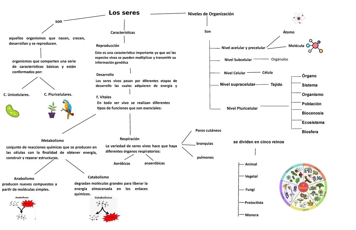 Unidad 4: La Célula y su Importancia en los Seres Vivos - Biología 1 ...