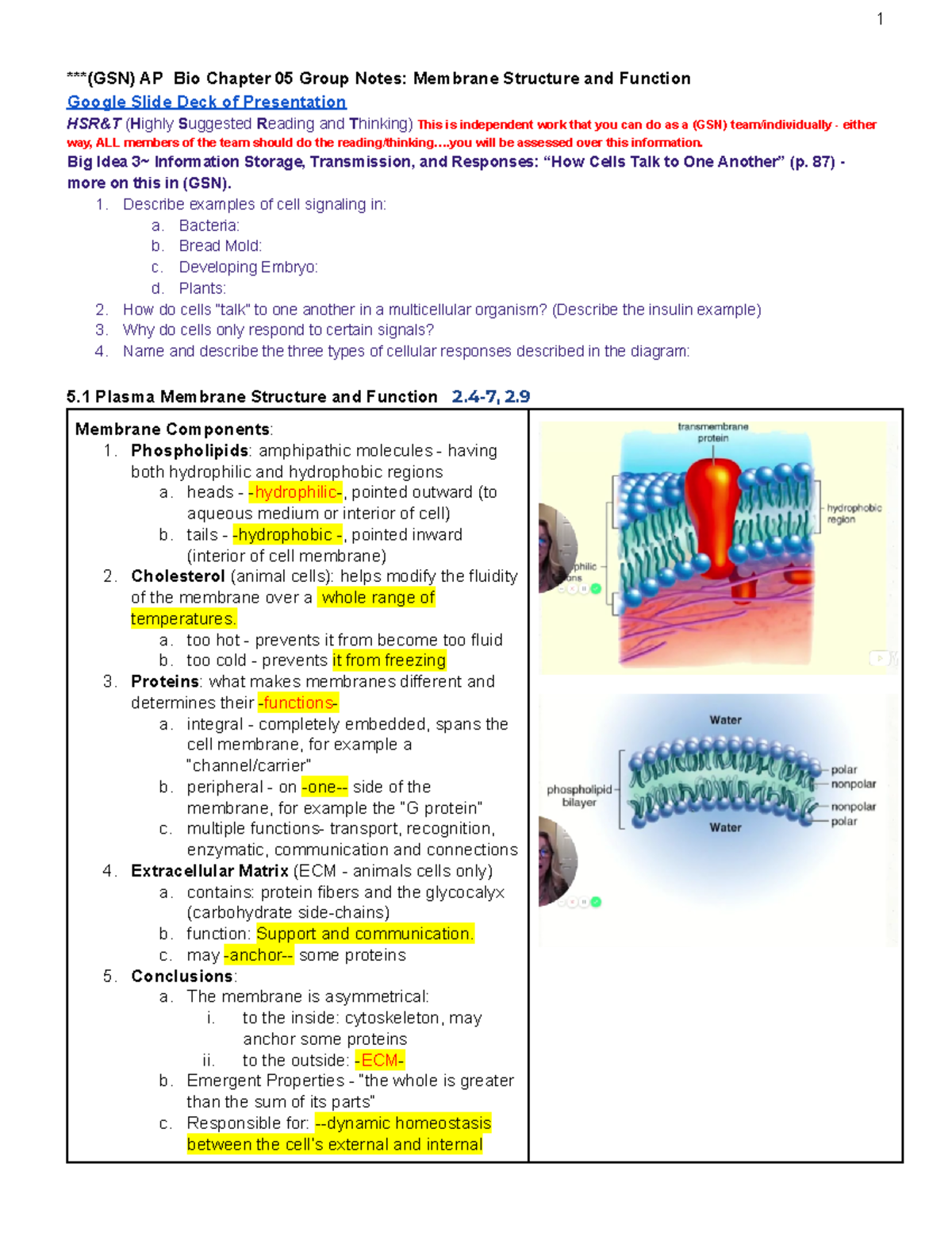 AP Biology GSN Chapter 5: Membrane Structure & Function Notes - Studocu