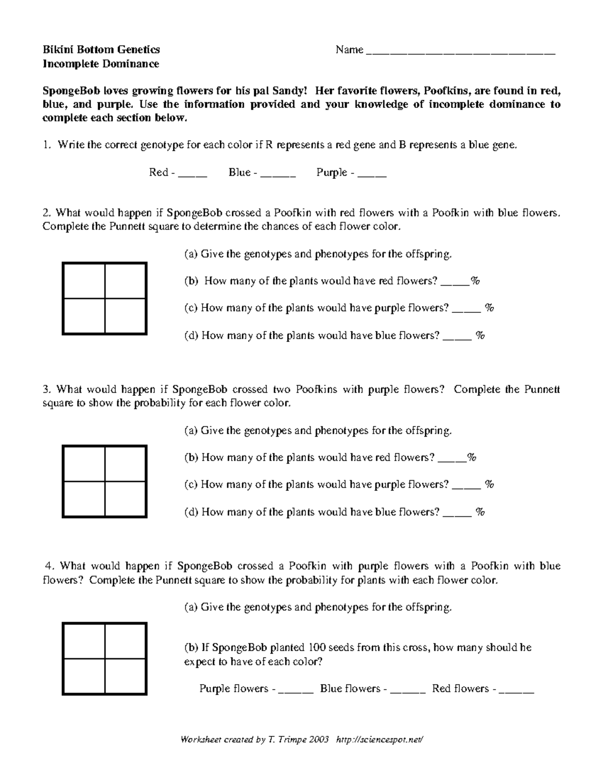 Bikin Bottom Genetics WS: Incomplete Dominance & Punnett Squares - Studocu