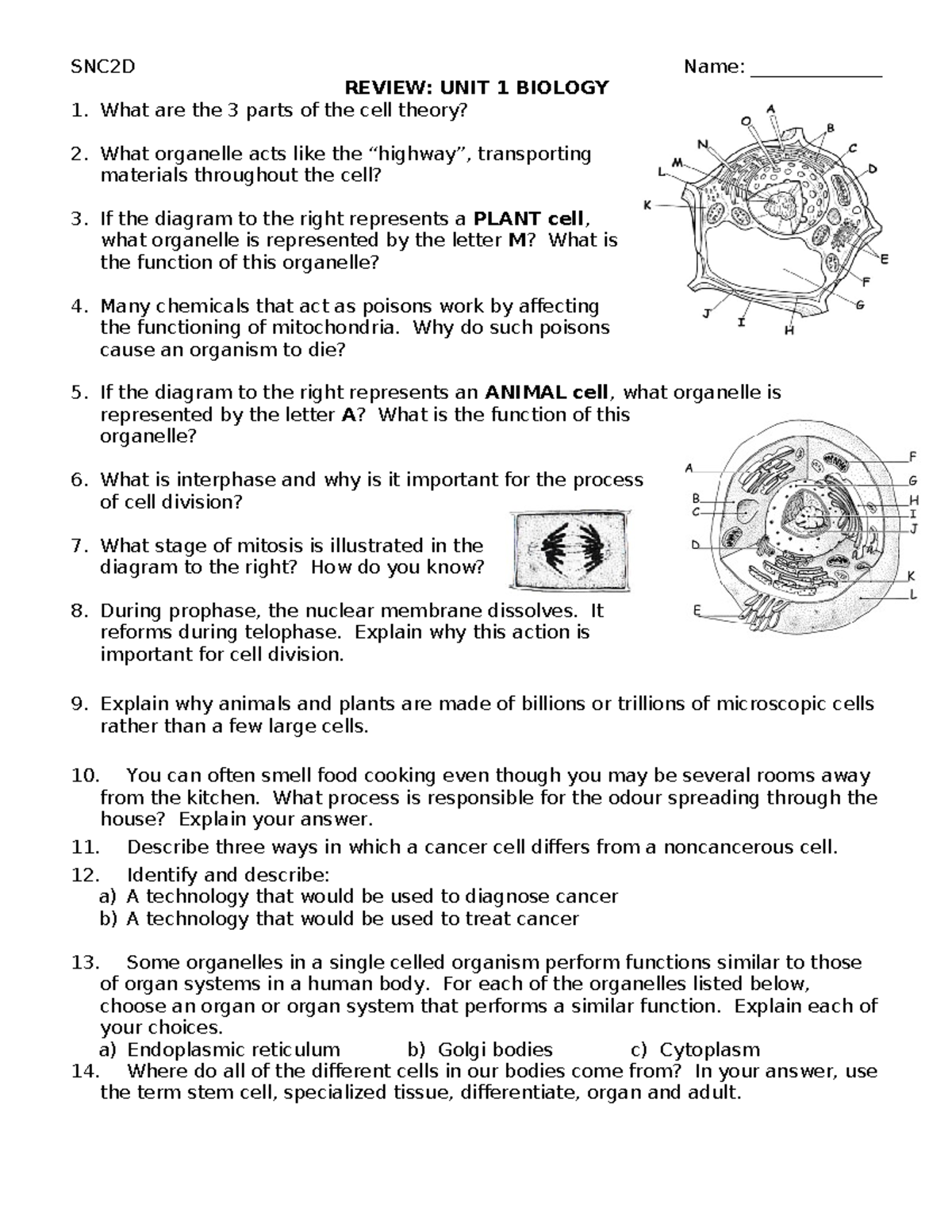SNC2D Unit 1 Biology Final Exam Review Questions - Studocu
