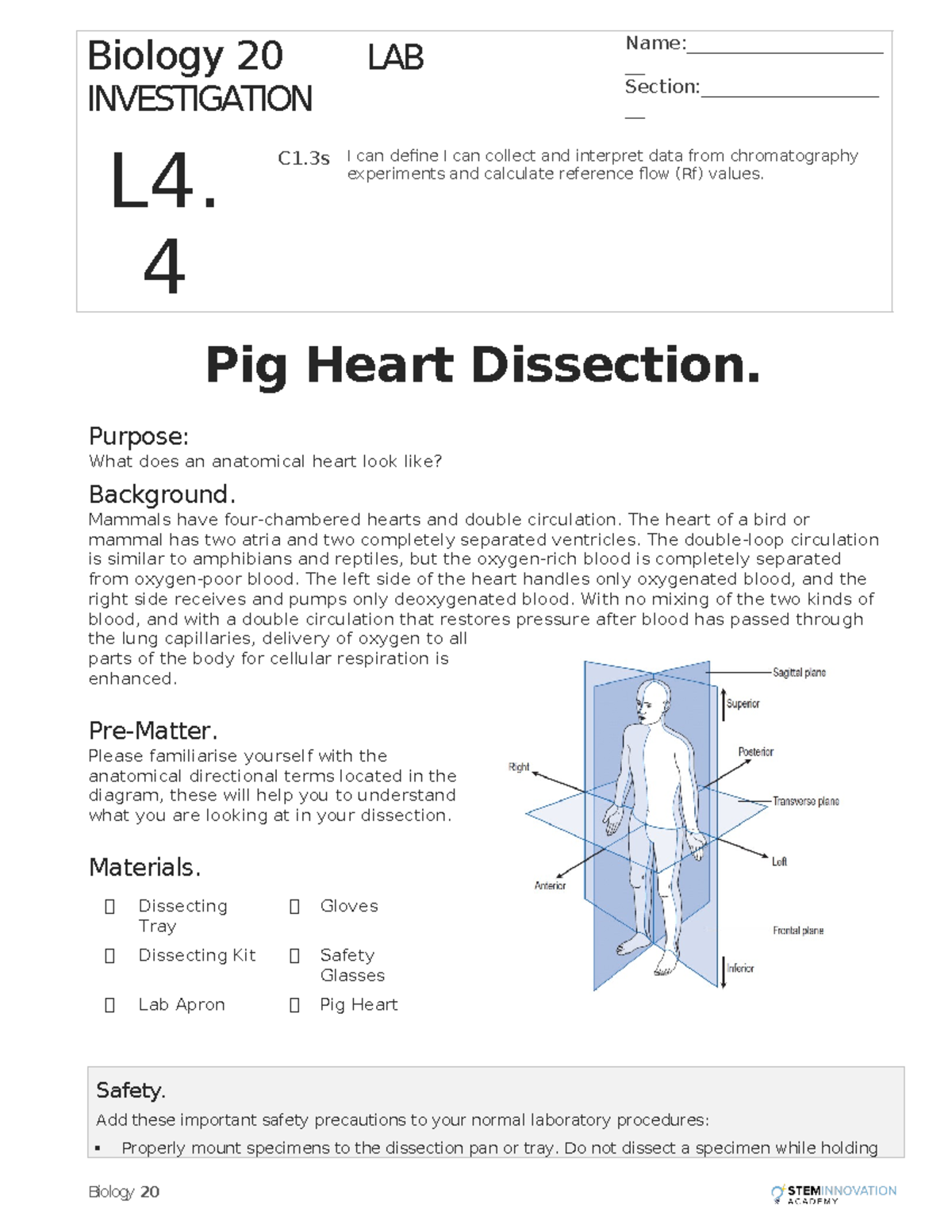 Biology 20 Lab: Pig Heart Dissection Guide and Procedures - Studocu