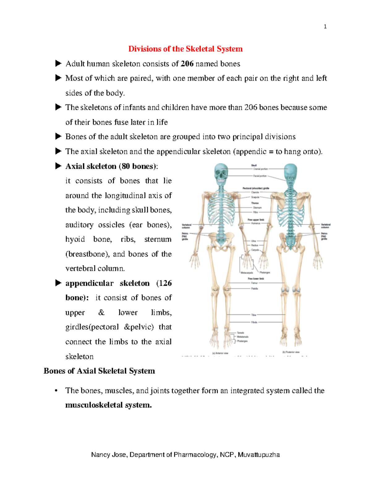 Axial Skeleton 23 - Overview and Details of the Skeletal System - Studocu