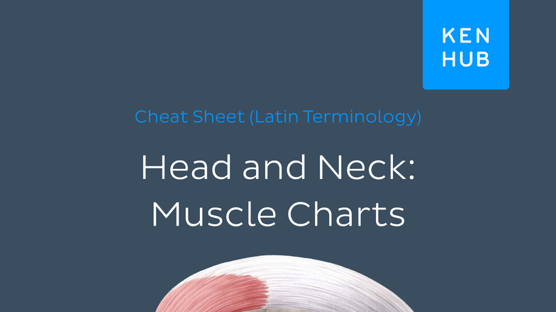 Muscle Charts Cheat Sheet (ANAT 101): Head and Neck Muscles - Studocu