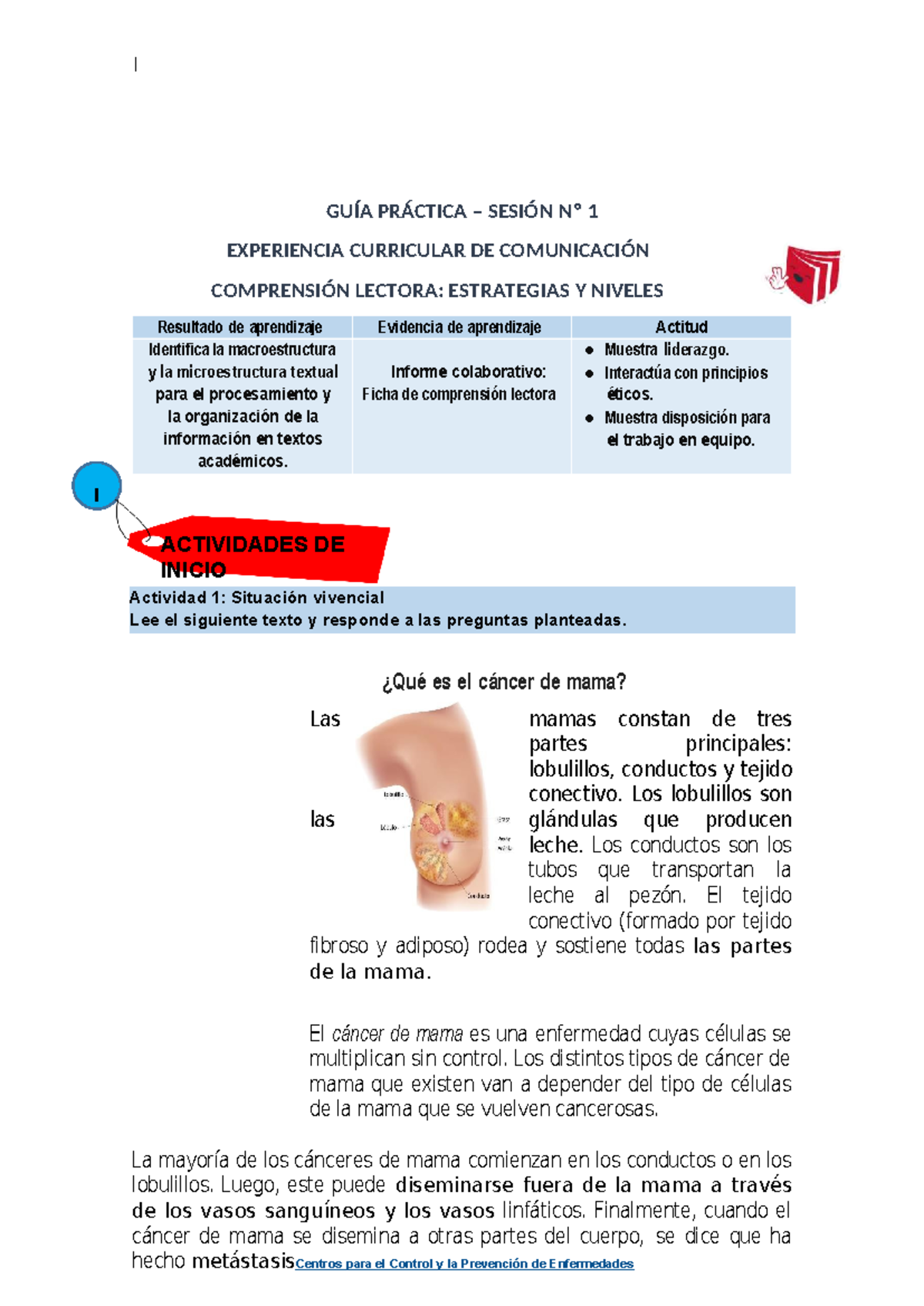 GUÍA PRÁCTICA SESIÓN Nº 1: ESTRATEGIAS DE COMPRENSIÓN LECTORA - Studocu